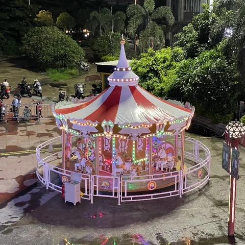 Buy Adult Carousel,electric Merry Go Round,park Carousel,automatic ...