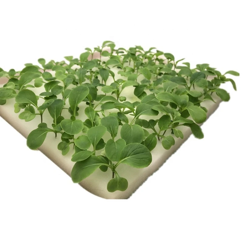 Buy Growing Media Or Child Plant Seed Starting 1" Inch Cube Precut ...
