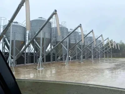 Buy Juxin Poultry Farm Chicken House Pig House Large Sheep Farming Feed ...