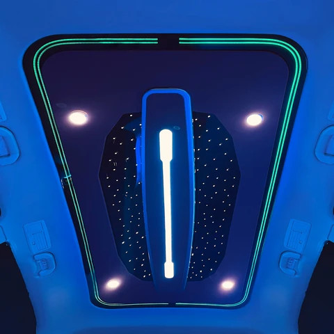 Buy W447 Front Roof Light Car Interior Led Dome Light Fitting ...