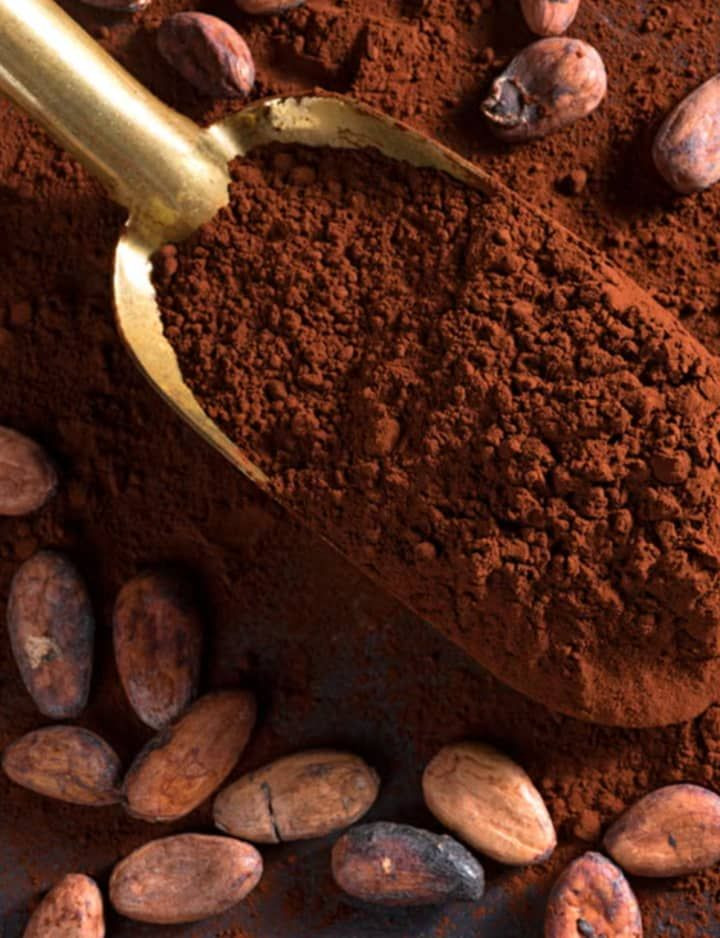 Buy A Grade Cocoa Powder from Thai Global Public Co., Ltd, Thailand ...