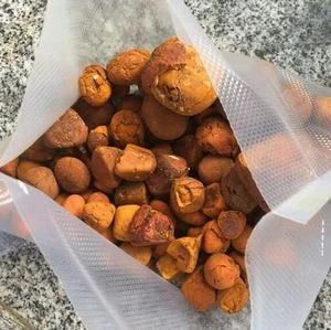 Buy Gallstones Ox Cow Bezoar Ox Gallstones from Natural ox cow ...