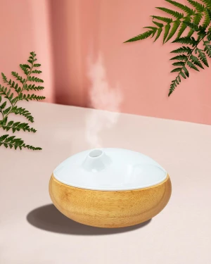 HuiYi Electronics Co., Ltd | aroma diffuser