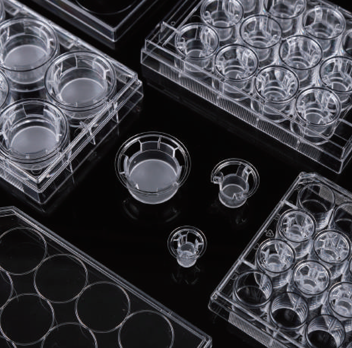 Buy Cell Culture Insert from Shanghai Aice Electronic Technology Co ...