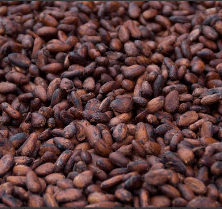 Buy A Grade Cocoa Powder from Thai Global Public Co., Ltd, Thailand ...