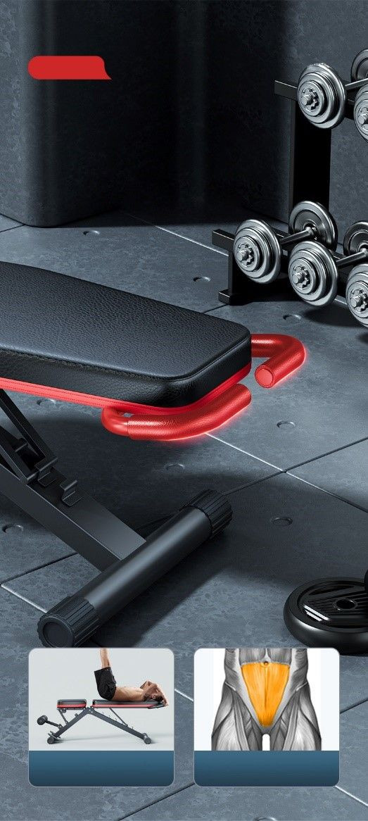 Buy Dumbbell Stool Home Fitness Chair Bench Press Sit-up Aid Equipment ...