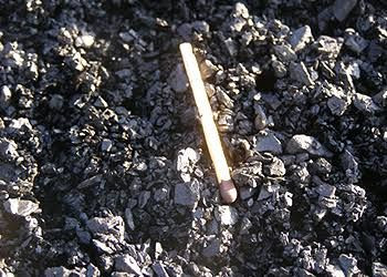 Buy Duff Coal from DANICA PROJECTS, South Africa | Tradewheel.com