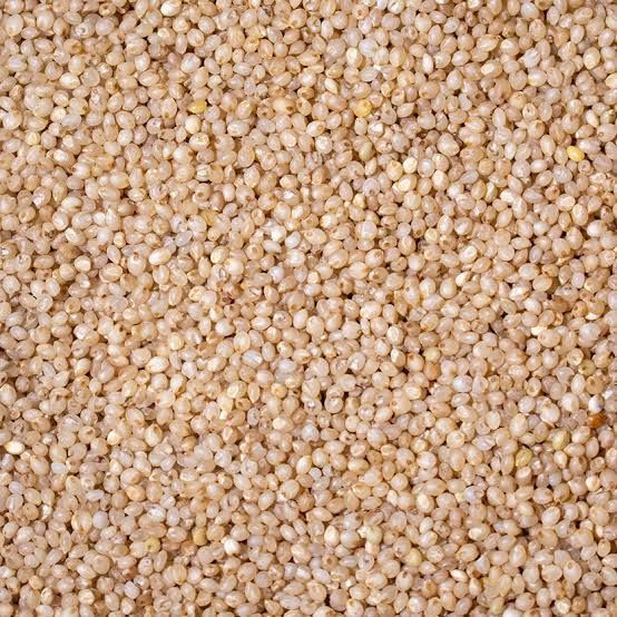 Buy Little Millet from MADRAS MILLET MILLS, India | Tradewheel.com
