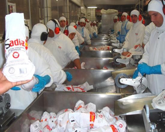 Buy Brazil Frozen Chicken – Halal Certified, Ava Registered For ...