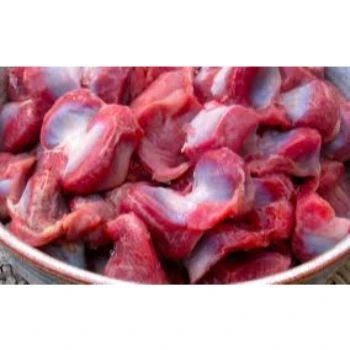 Buy Frozen Halal Chicken Gizzards from Wintercorn Import & Export ...