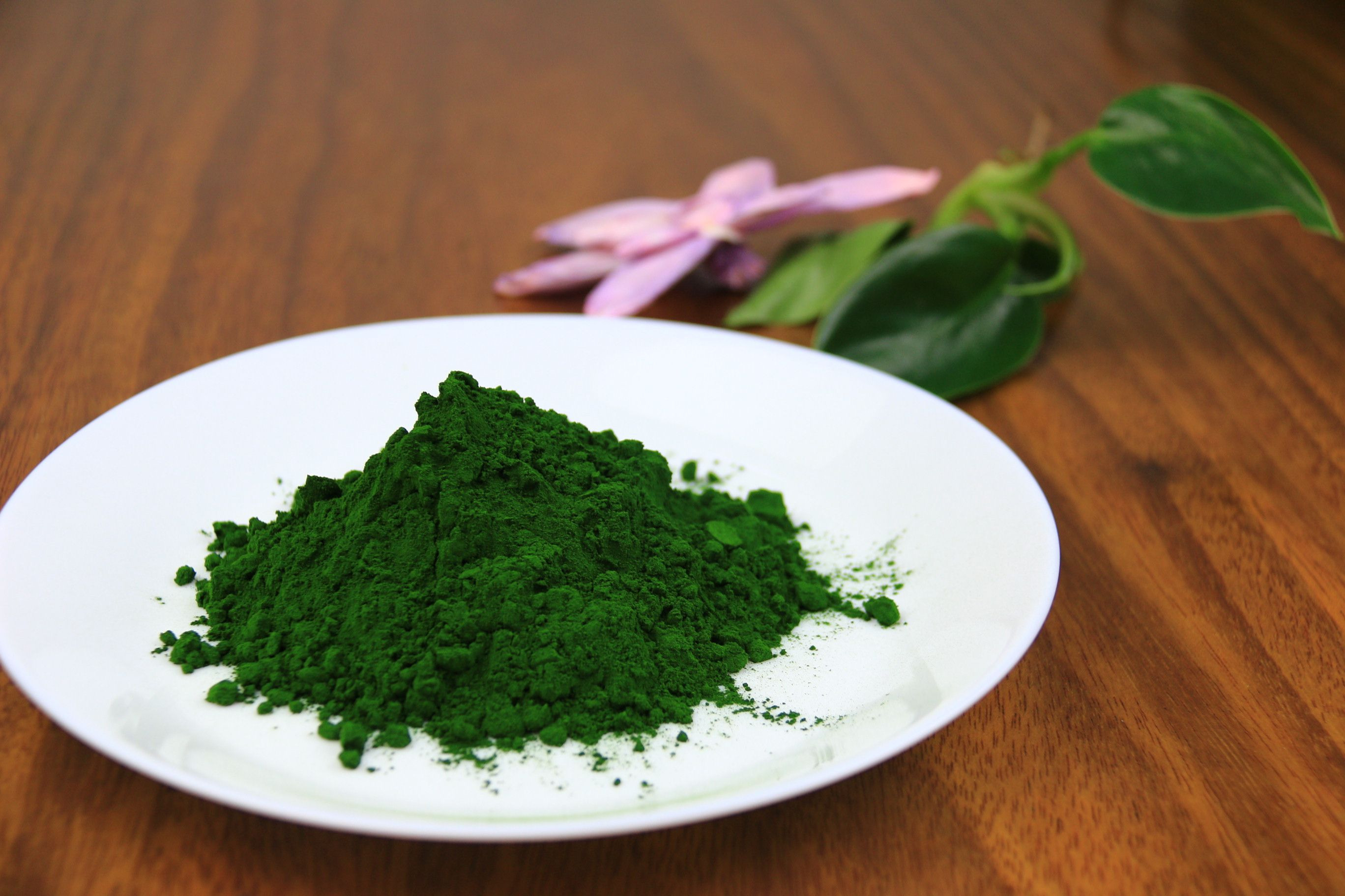 Buy Chlorella Powder/tablets from Tianjin Norland Biotech Co., Ltd ...