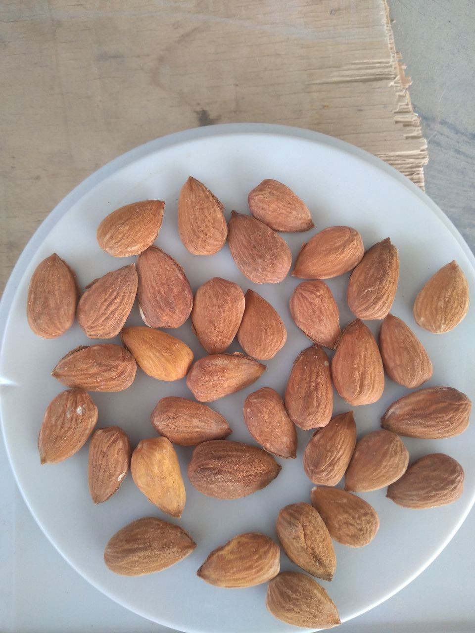 Buy Almond Kernel from SAG agro logistics LLC, Uzbekistan | Tradewheel.com