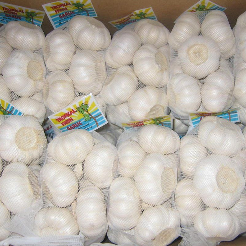 Buy Fresh Garlic from si-holdingaps, USA | Tradewheel.com