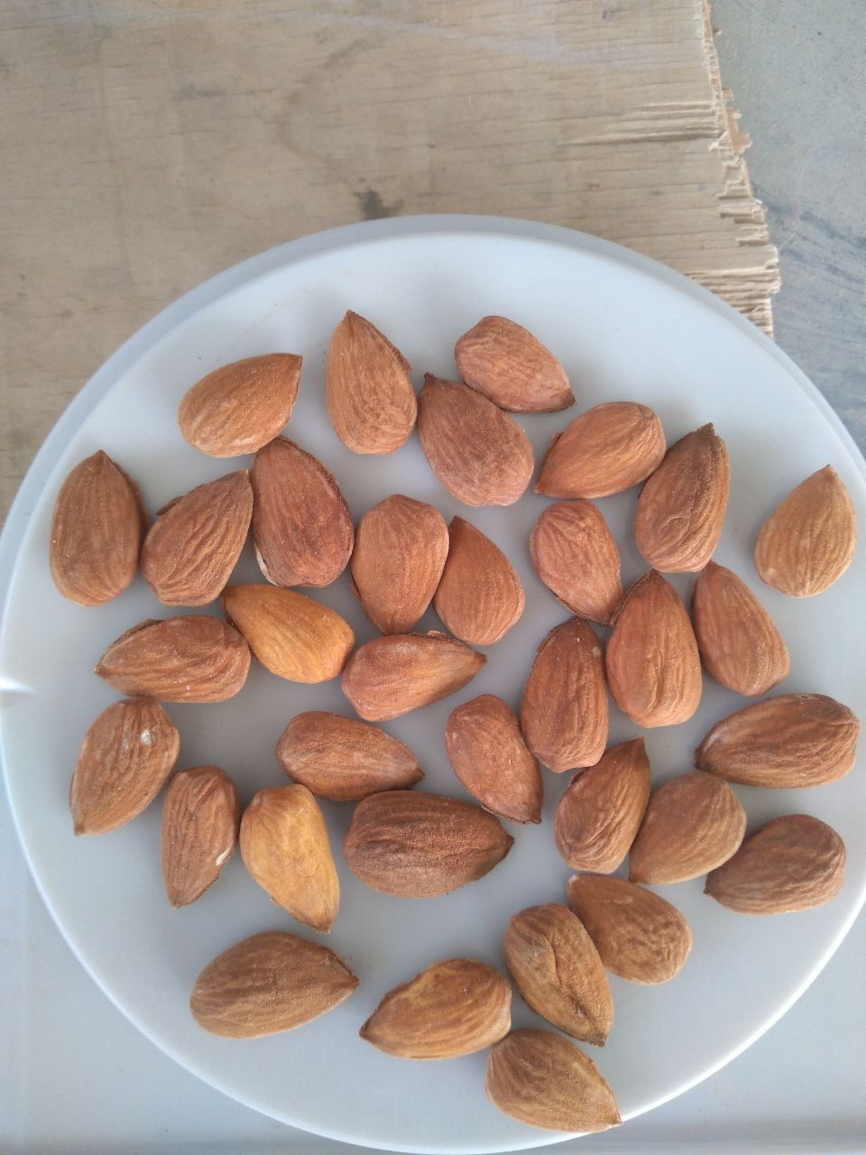 Buy Almond Kernel from SAG agro logistics LLC, Uzbekistan | Tradewheel.com