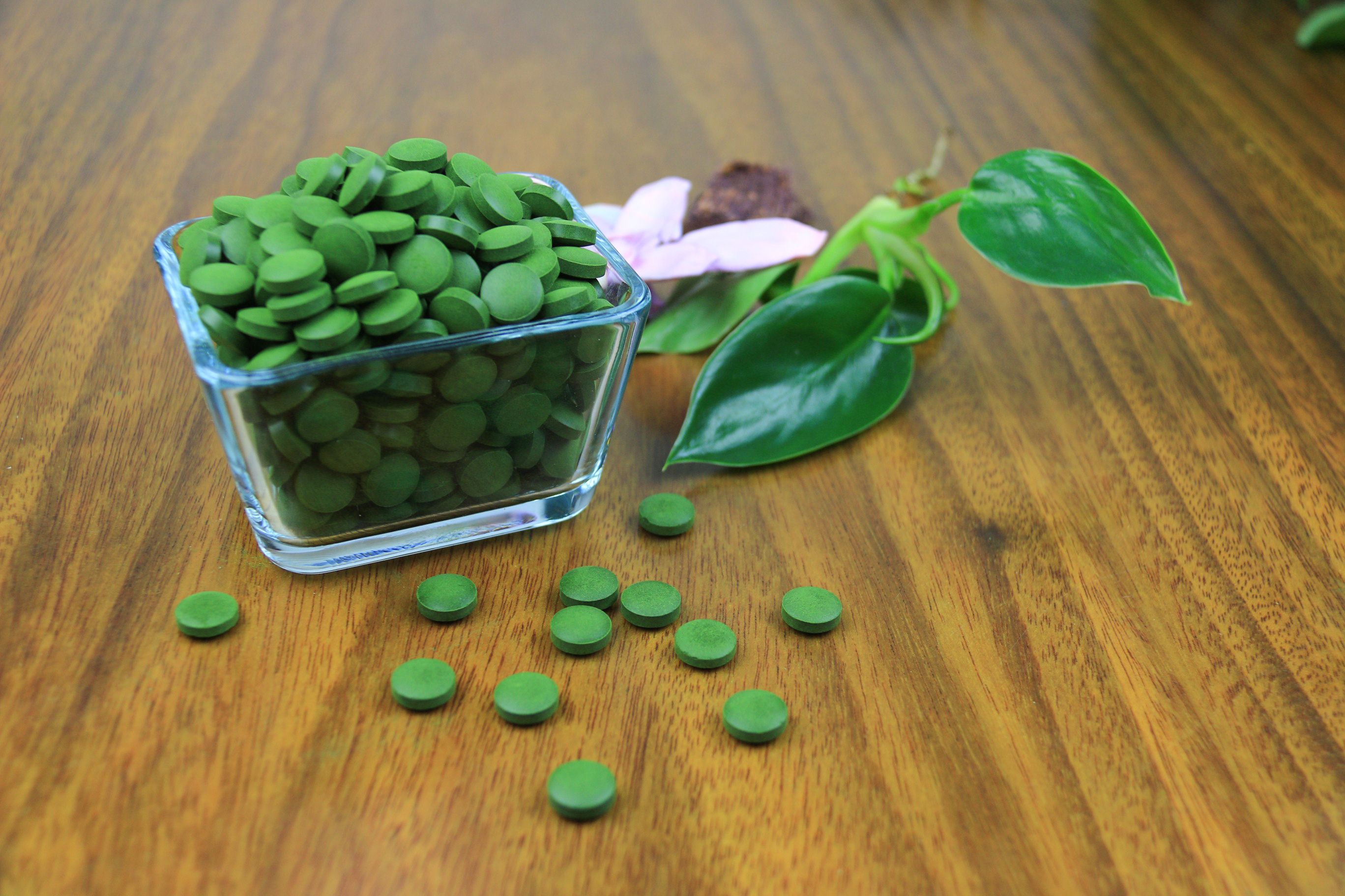 Buy Chlorella Powder/tablets from Tianjin Norland Biotech Co., Ltd ...