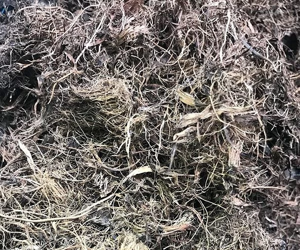 Buy Palm Mesocarp / Short Fibre from Company - Mr.foo, Malaysia ...
