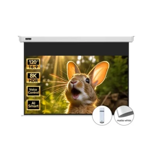 Buy 120 Inch Motorized Projector Screen 16:9 4k Matt White Standard ...