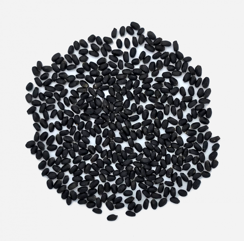 Buy Basil Seed / Tukhmaliya / Sortex from ROZI INTERNATIONAL (PRIVATE ...