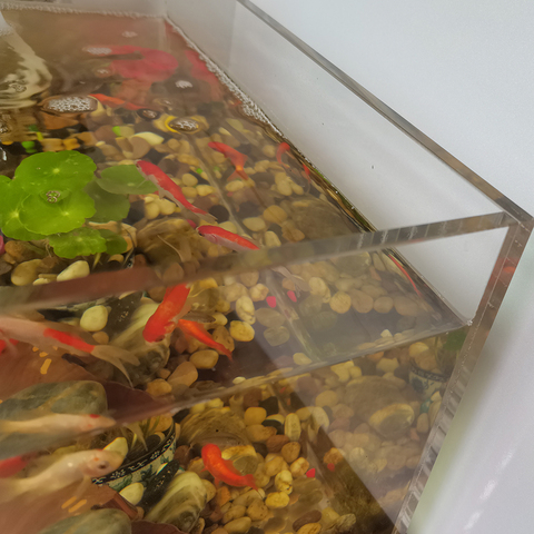 Buy Cylinder Acrylic Fish Aquarium Tank Sump Planter Led Large Glass ...