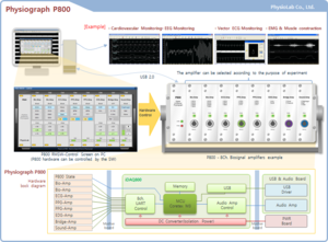 Import Digital Physiograph P800 / 8ch Biosignal Measuring Instrument ...