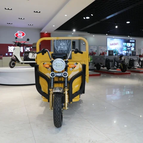 Buy Factory Supply 3 Wheel Electric Cargo Tricycle Strong Power 60v ...