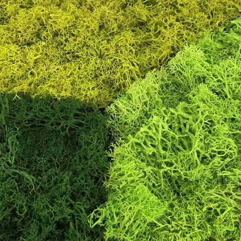 Buy Factory Wall Green Moss Wall Art Panels Preserved Forest Moss ...