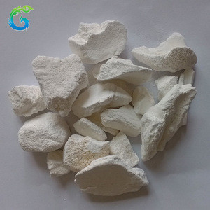 Buy Halal Bone Ash Powder From Animal Extract from Xiamen Gelken ...