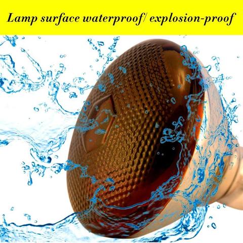 Buy Infrared Light Bulb Red Light Device,red Heat Lamp, Fit Standard ...