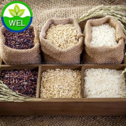 Buy Long Grain Basmati Rice 1121 from LIMITED LIABILITY COMPANY ARTA ...