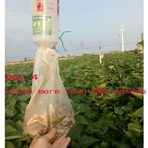 Buy Plastic Moth Funnel Trap To Kill Moths Hot Sale From Factory from ...