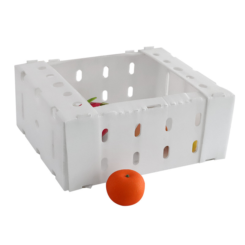 Buy Pp Plastic Okra Box Corflute Packaging Box from Shandong Runping ...