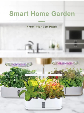 Buy Smart Garden Planter Hydroponics Grow Kit Systems Smart Garden ...