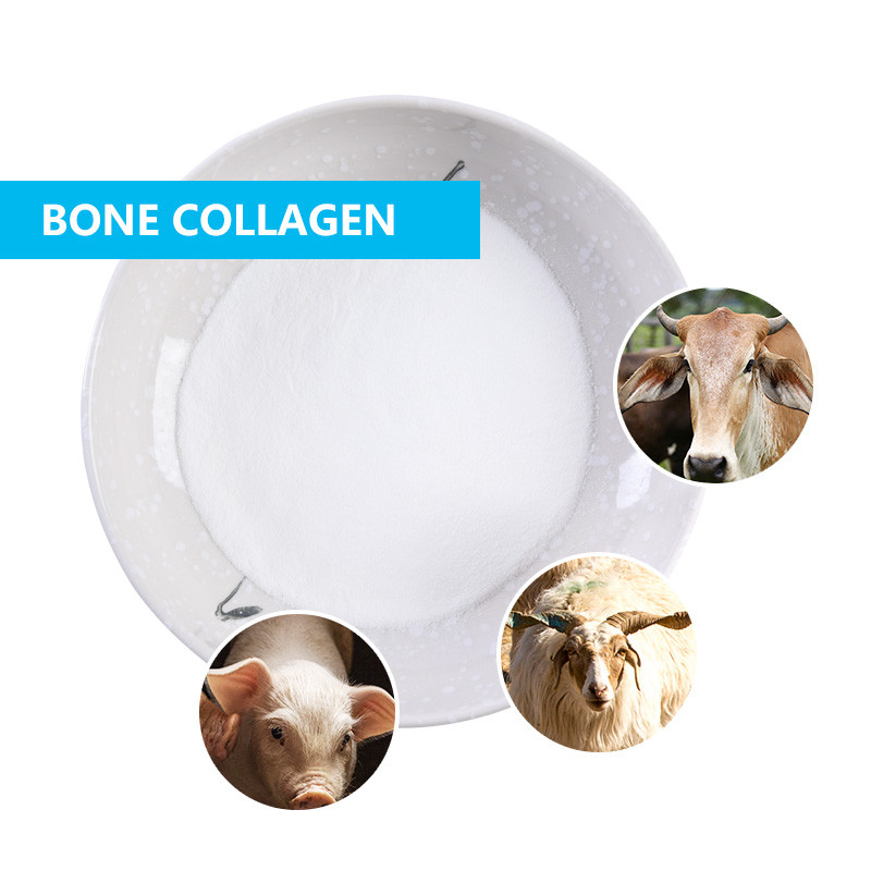 Buy Wholesale Pure Collagen Powder Hydrolyzed Collagen Peptide Solid ...