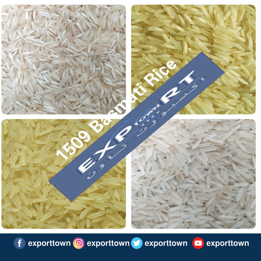Buy Premium Indian Basmati Rice from Export Town, India | Tradewheel.com