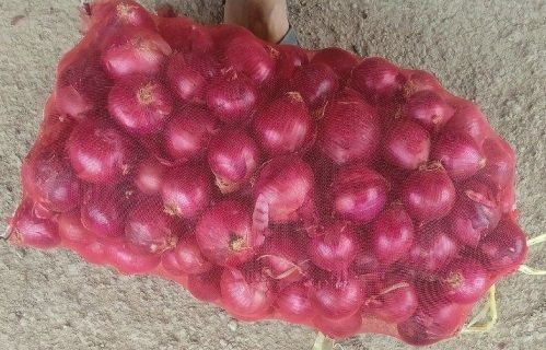 Buy Red Onion from world import export onion, Uzbekistan | Tradewheel.com