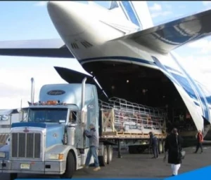 Buy Kyle Su from GES Logistics, China | Tradewheel.com