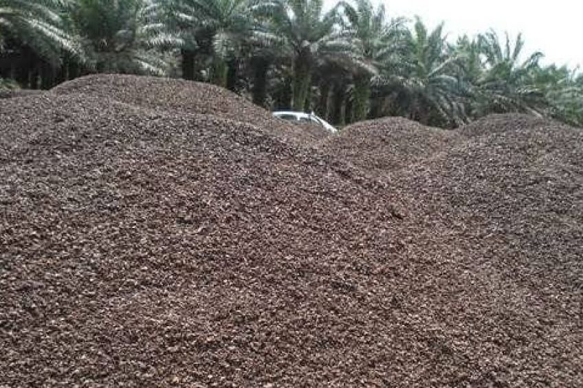 Buy Palm Kernel Shell Price Negotiable from CV HARA AGROINDO, Indonesia ...