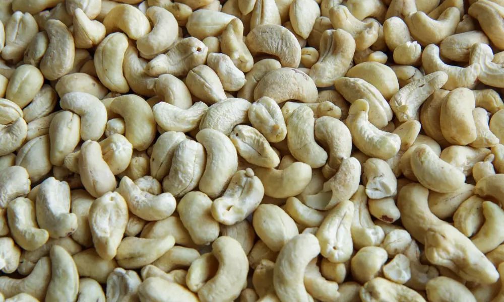 Buy Grade A Cashew Nuts For Export – High Yield, Smooth Texture, Fresh ...