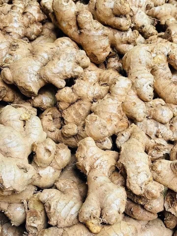 Buy Ginger from Golden Shine May, Myanmar | Tradewheel.com