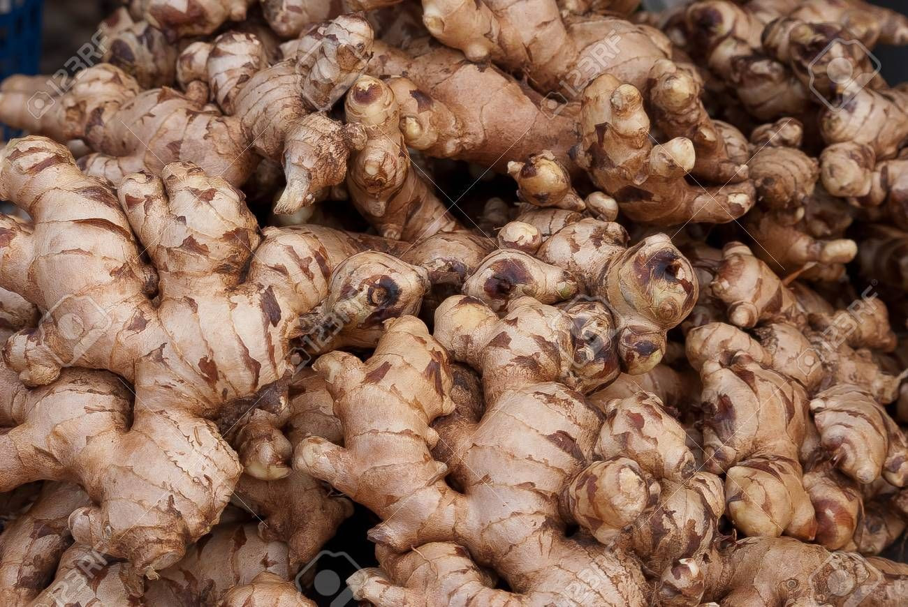 Buy Organic Ginger from Juli-Vic Farms Ghana, Ghana | Tradewheel.com