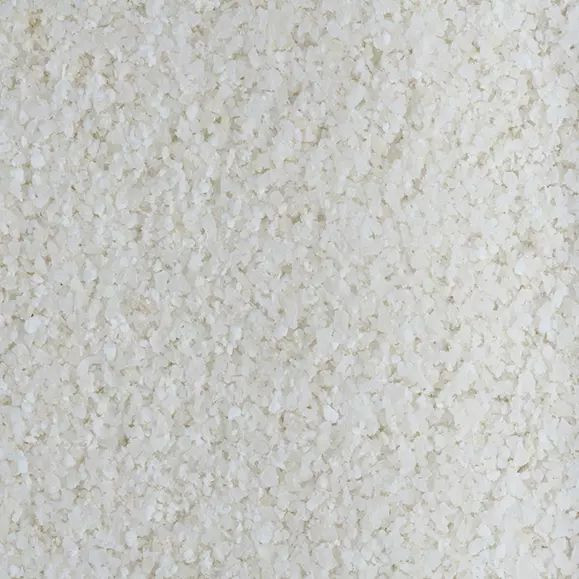 Buy Special Maize Meal (white) from Essential Food for Africa, South ...