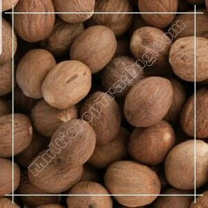 Buy Nutmeg Abcd Grade from PT. Multicrop Trading, Indonesia ...