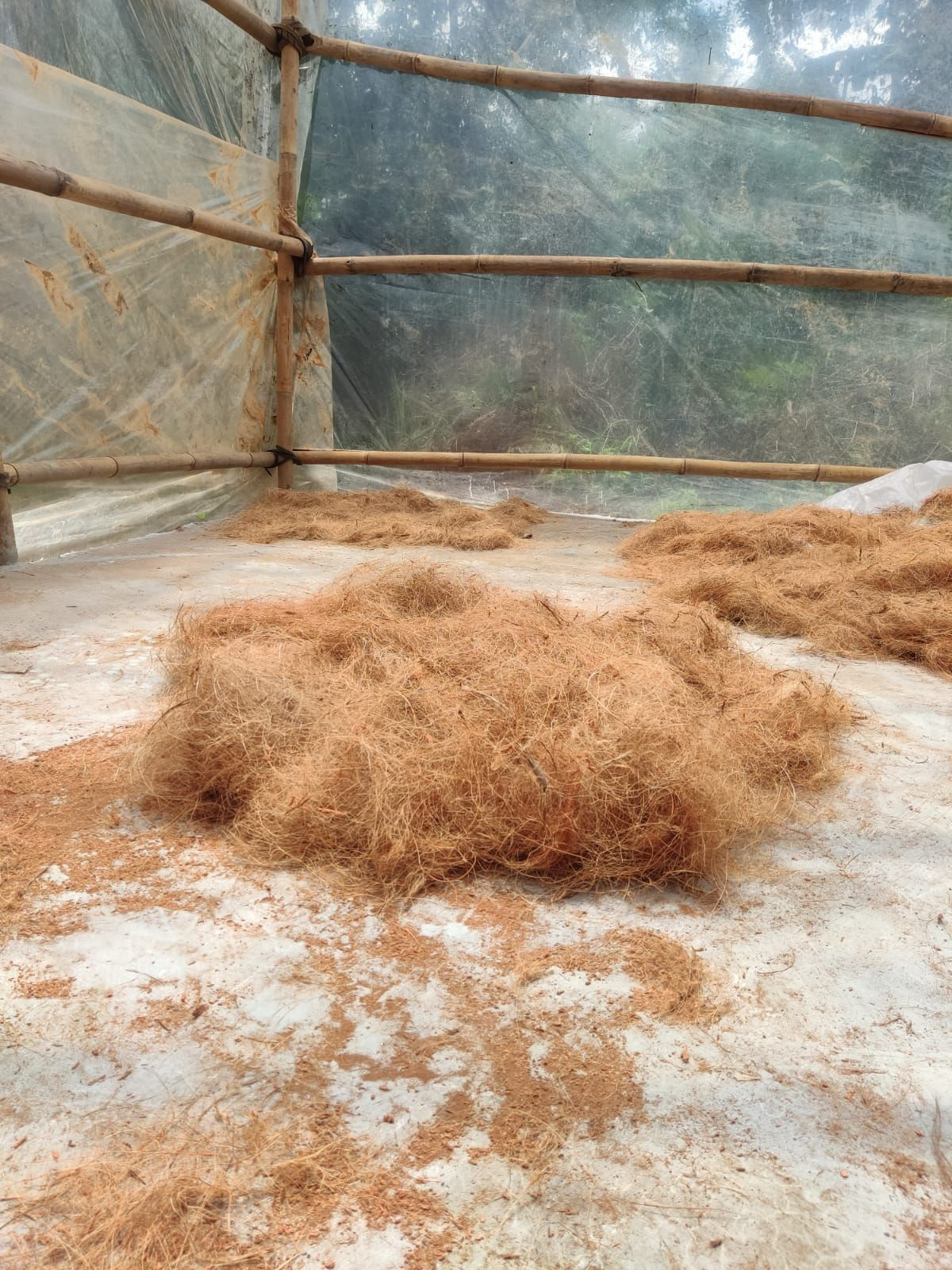 Buy Cocofiber And Cocopeat from Commodity OF Asia Coconut, Indonesia ...