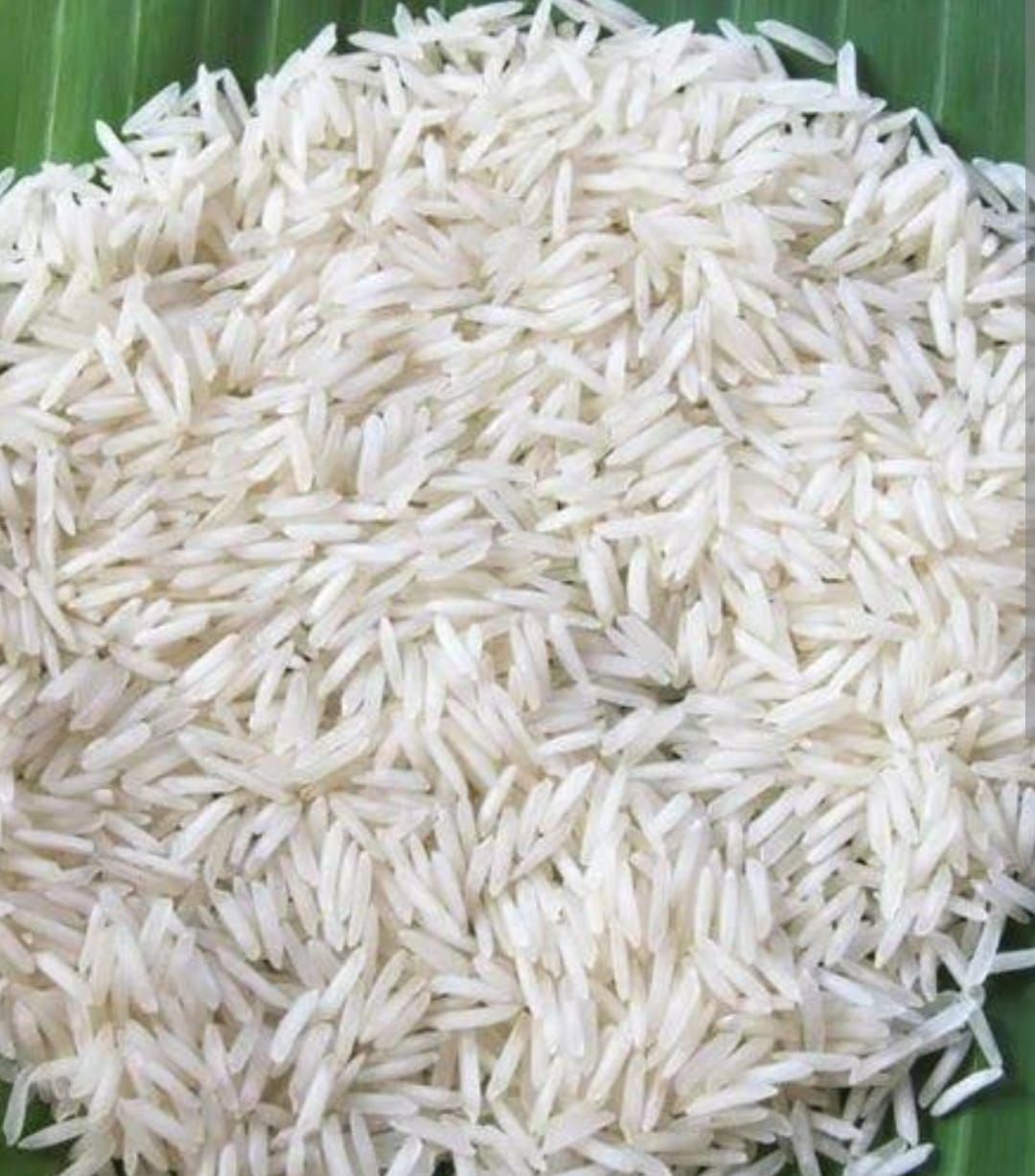Buy Rice Basmati, Sella, Steam from INDIA ALL IMPORT & EXPORT, Brazil ...