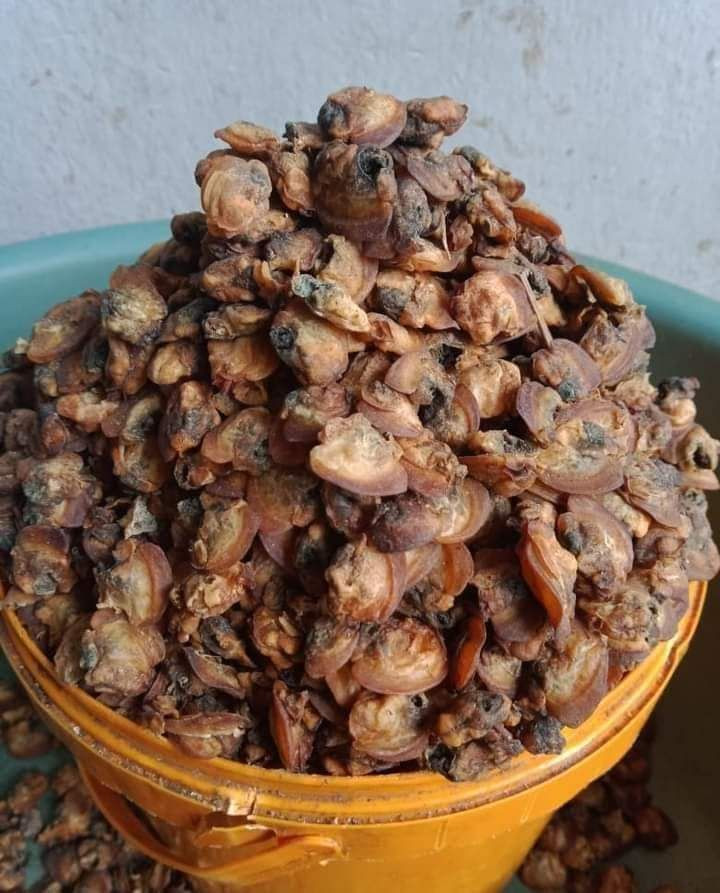 Buy Dry Snails from Skylar Snails and Foods, Nigeria | Tradewheel.com