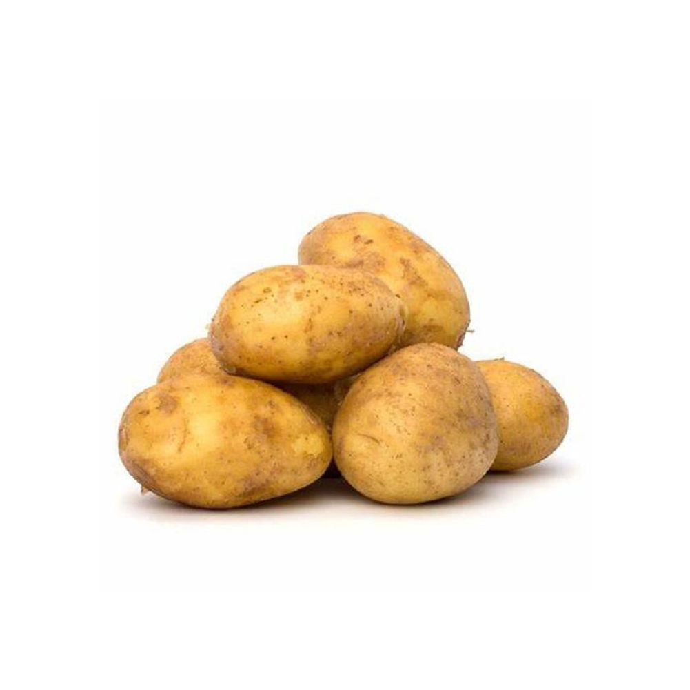 Buy Fresh Potato Supplier from Afrivet Trading Services, South Africa ...