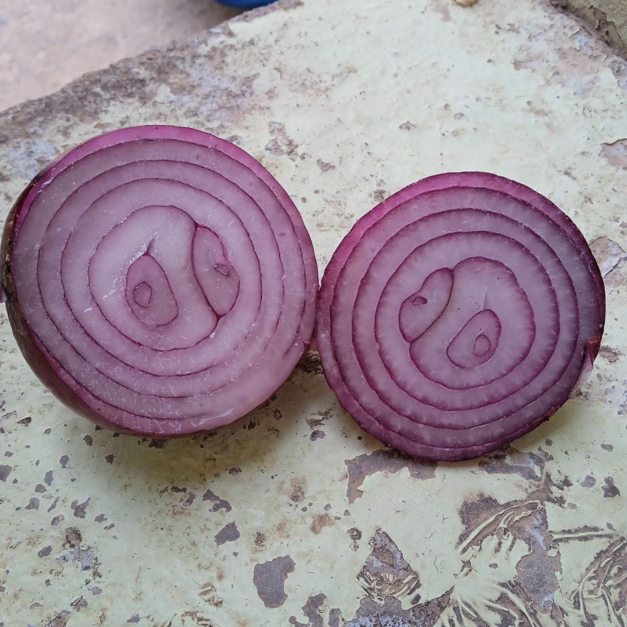 Buy Red Onion from world import export onion, Uzbekistan | Tradewheel.com