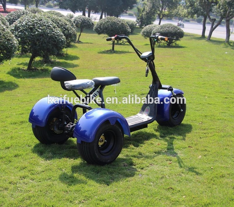 Buy 1000w Super Power Citycoco Big Wheel 2 Wheel Electric Mobility ...