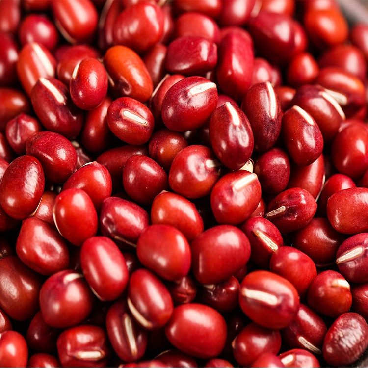 Buy Chinese Hot Selling Food Grade Long Shape Dry Red Kidney Beans from ...