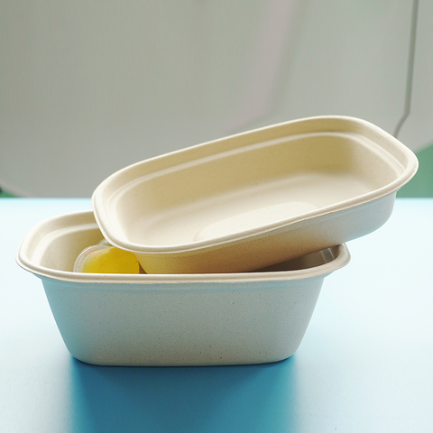 Buy Compostable Eco Friendly Sugarcane Bagasse Dinnerware Sets Serving Platter Pasta Charger ...